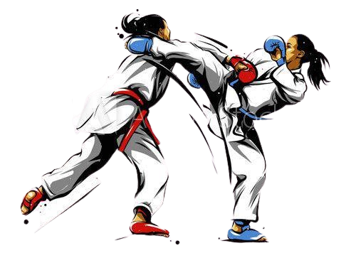 Federation of Wadokai Europe